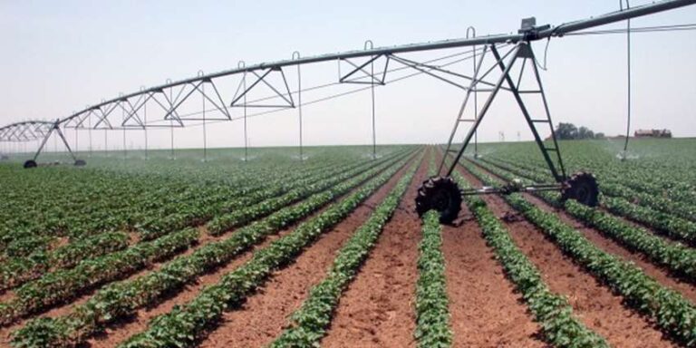 AgriLife Research study: Center pivot does not always mean efficiency ...